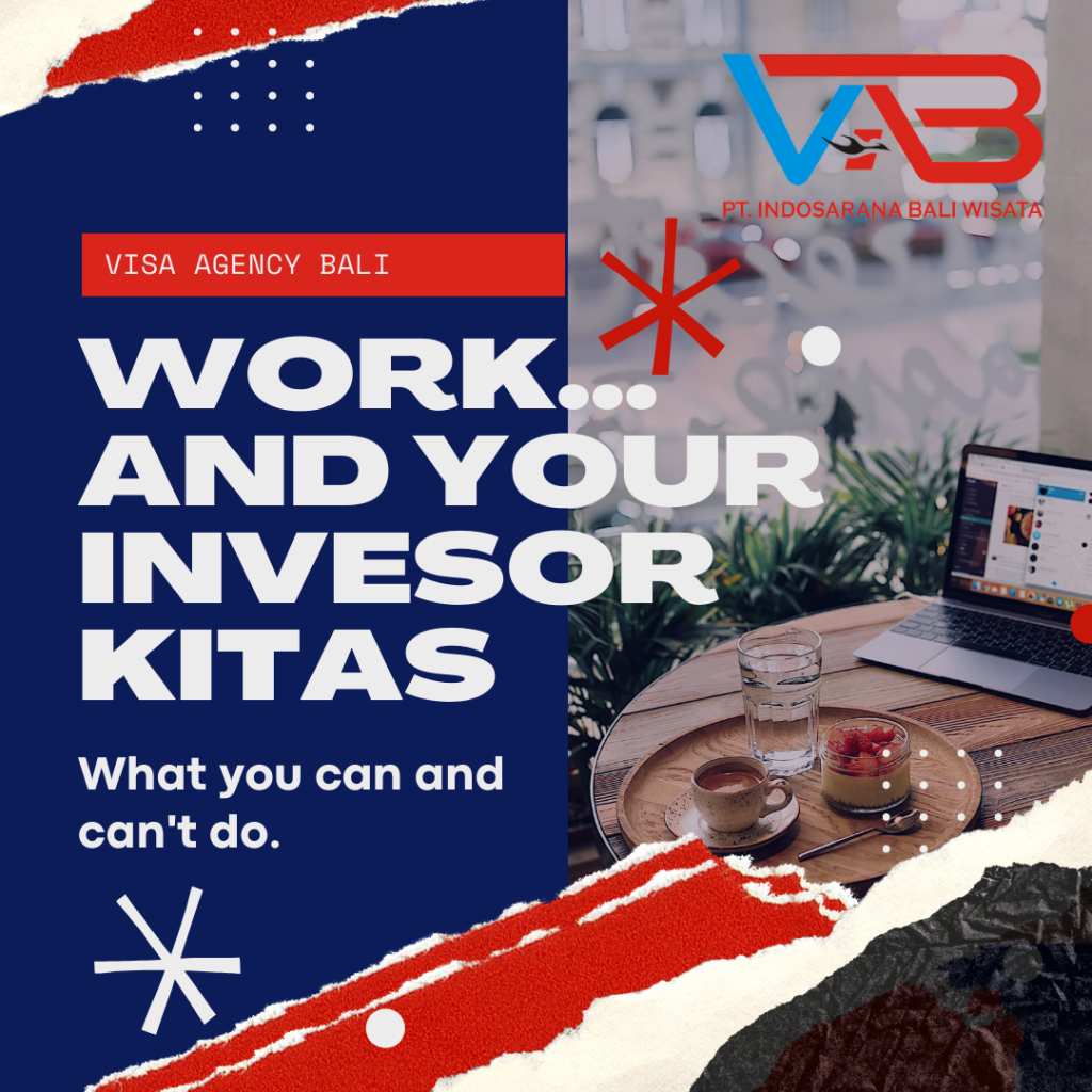 I Have An Investor KITAS - What Work Can I Do With It? - Visa Agency Bali